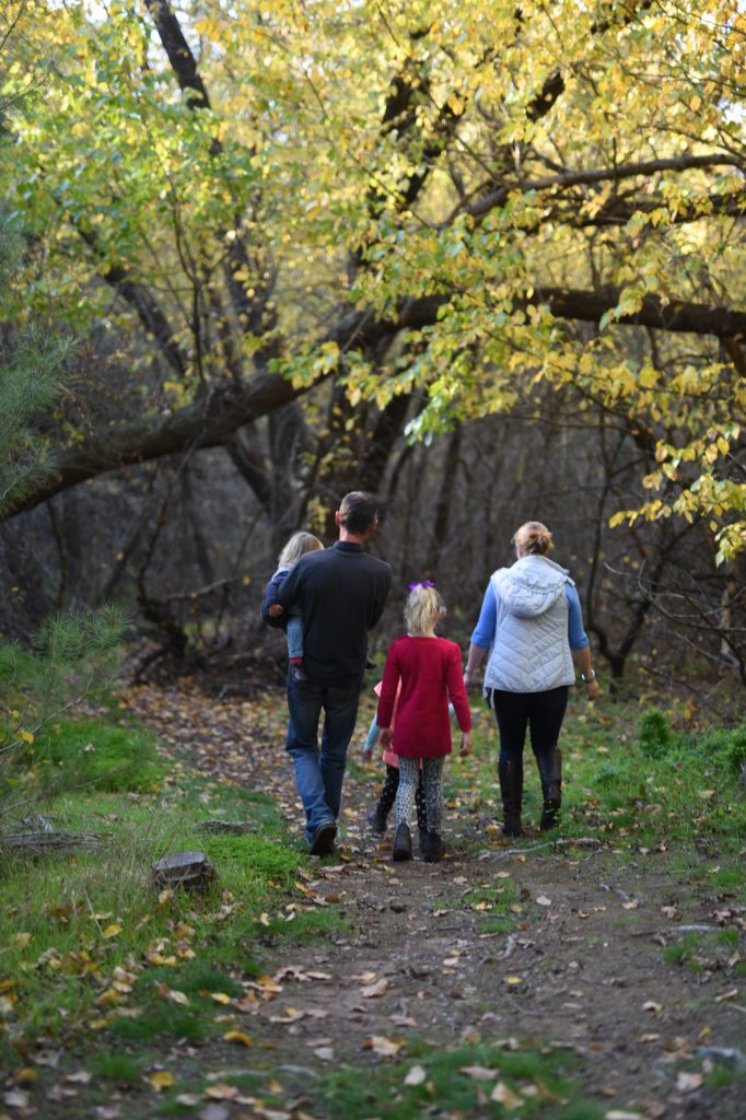 Maple Walk - Visit Jamestown